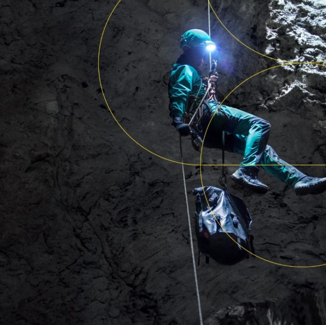 MSDについて | MSD